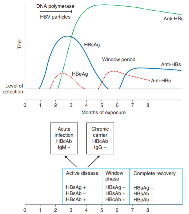 Multiple Choice Questions MCQ